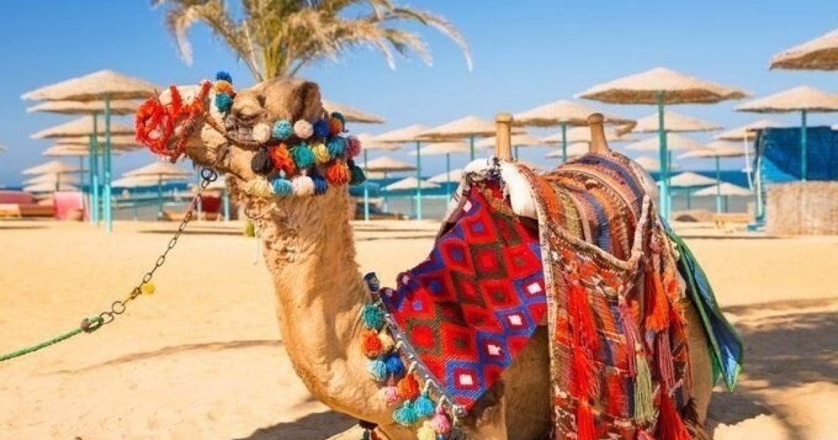 What Is Egypt Weather Like in April